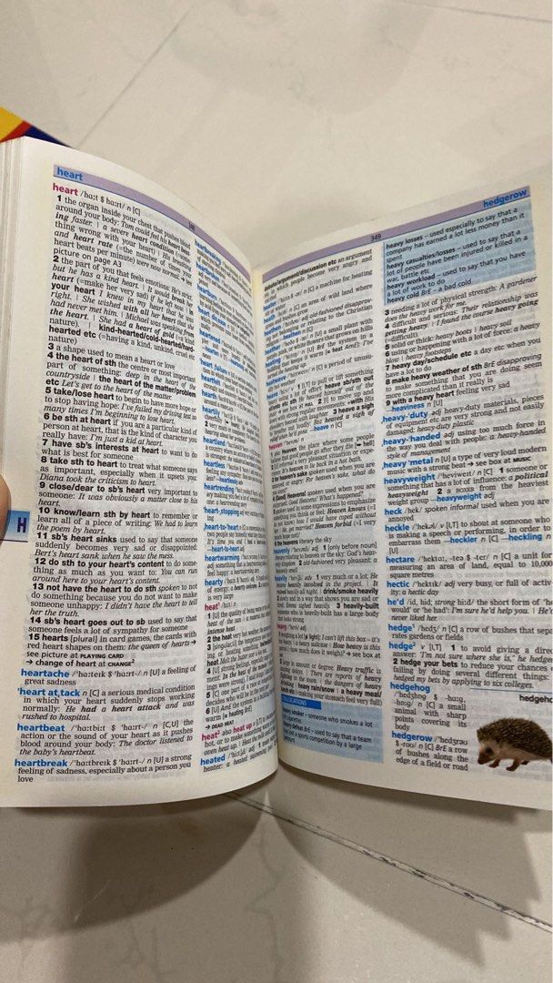 English dictionary, Hobbies & Toys, Books & Magazines, Textbooks on ...