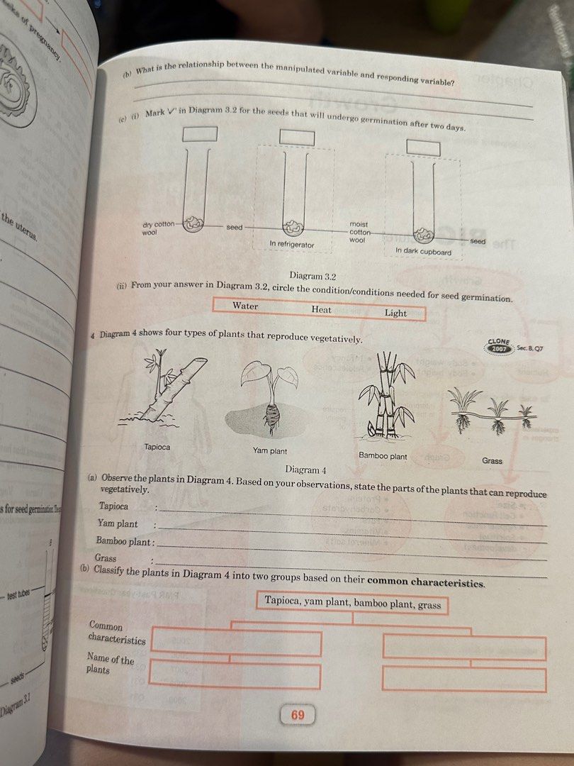Form 3 Science Process Skills (PEARSON longman), Hobbies & Toys, Books ...
