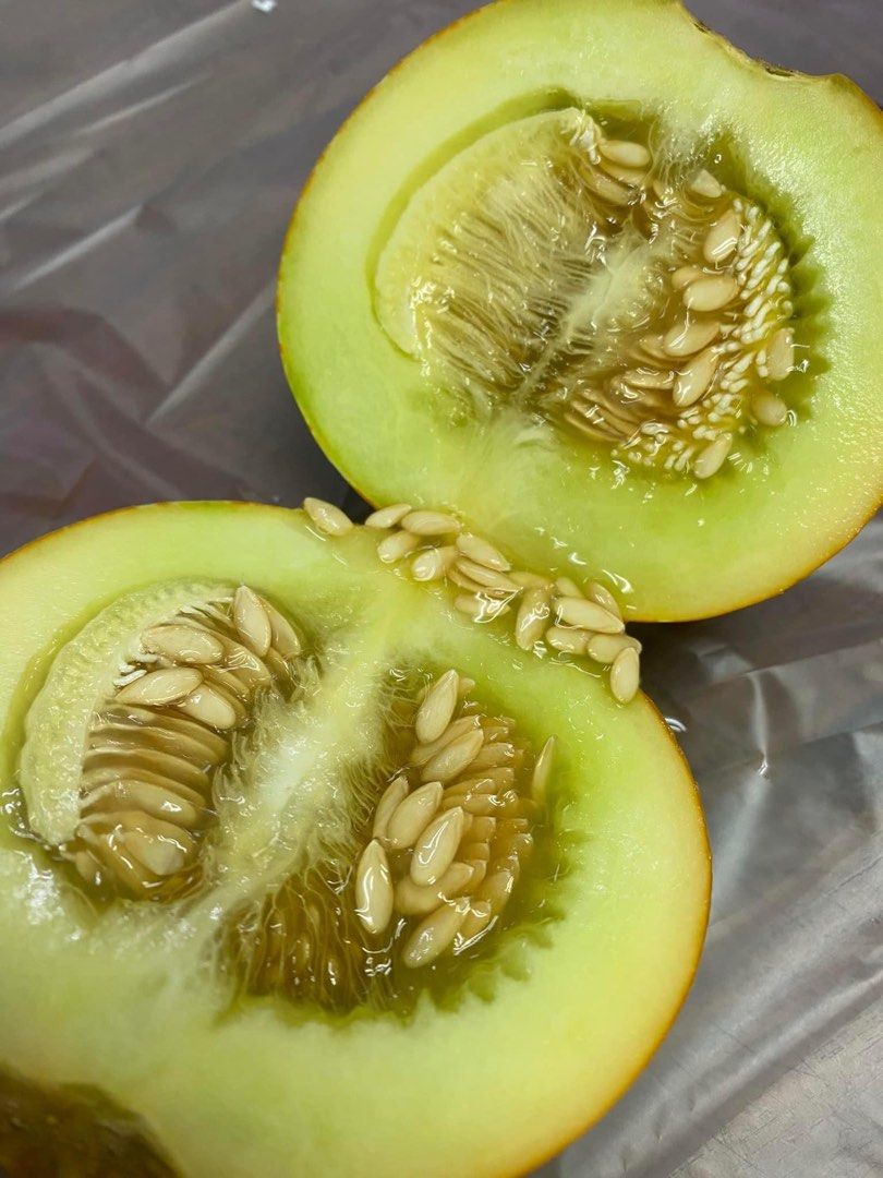 heirloom kajari melon seeds, Furniture & Home Living, Gardening, Plants ...