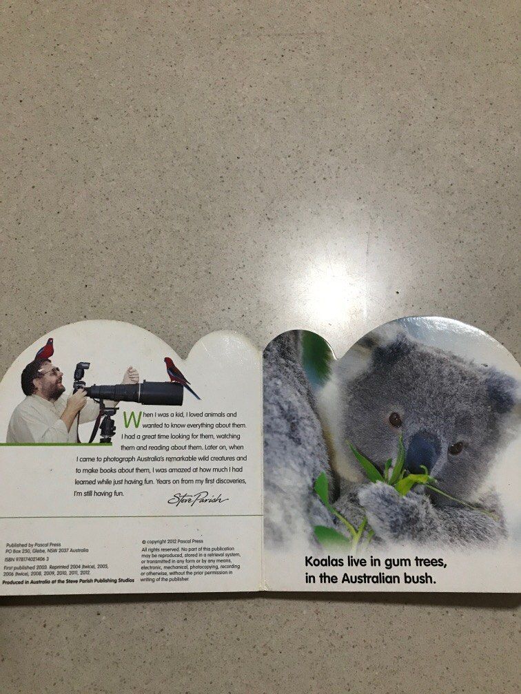 Koala Board Book, Hobbies & Toys, Books & Magazines, Children's Books ...