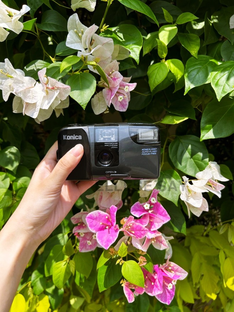 KONICA CIAO FILM CAMERA on Carousell