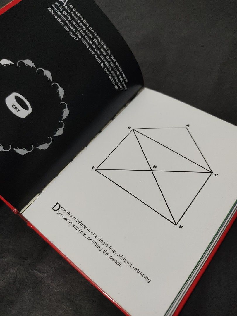 Mind-Bending Conundrums and Puzzles (Mini Hardbound) on Carousell