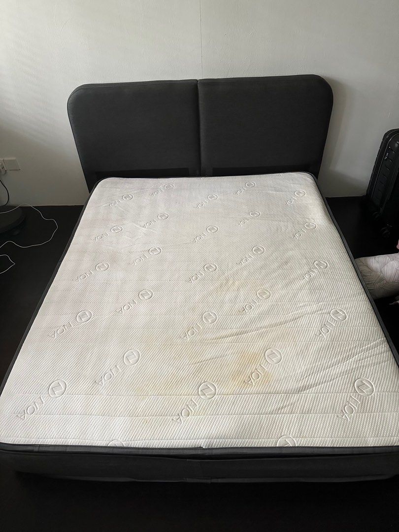 NOA Queen size matters, Furniture & Home Living, Furniture, Bed Frames ...