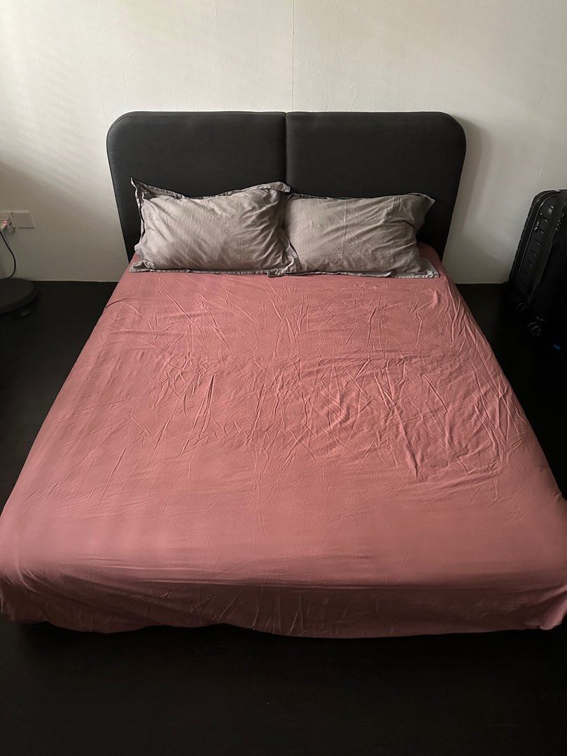 NOA Queen size matters, Furniture & Home Living, Furniture, Bed Frames ...