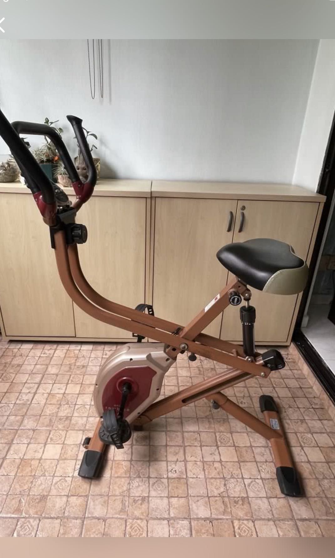 OTO Stationary Gym Bike RB1000 Foldable Row Bike, Sports Equipment ...