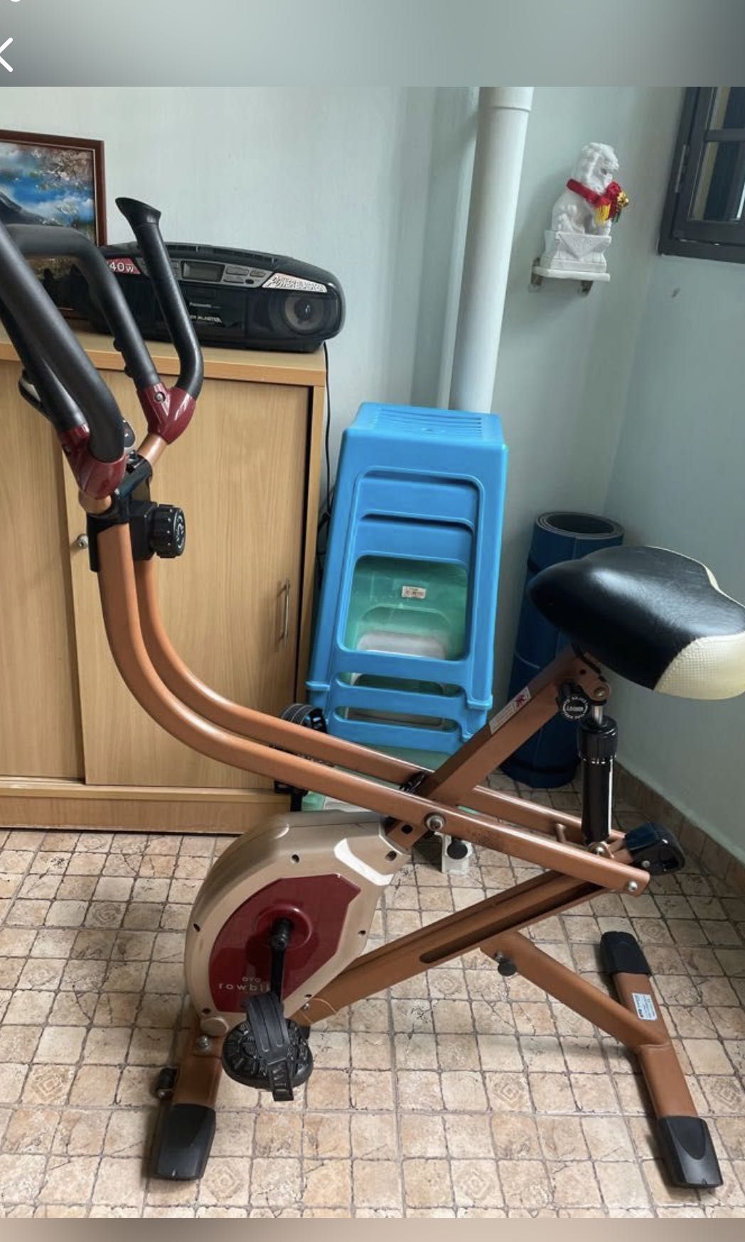 OTO Stationary Gym Bike RB1000 Foldable Row Bike, Sports Equipment ...