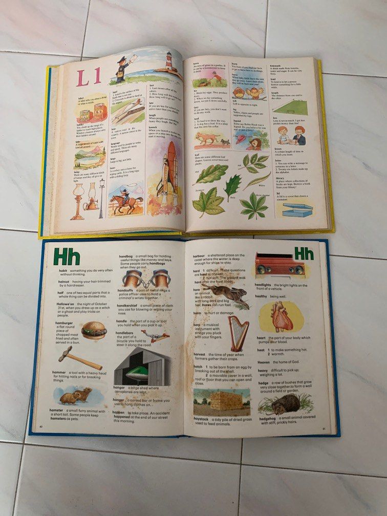 Picture dictionary for children, Hobbies & Toys, Books & Magazines ...