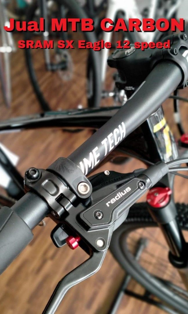 Sepeda MTB Carbon Pro Prime, Olah Raga, Sepeda di Carousell