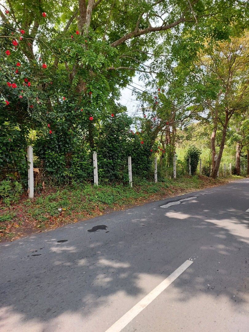 Tagaytay prime lot for sale, Property, For Sale, Lot on Carousell