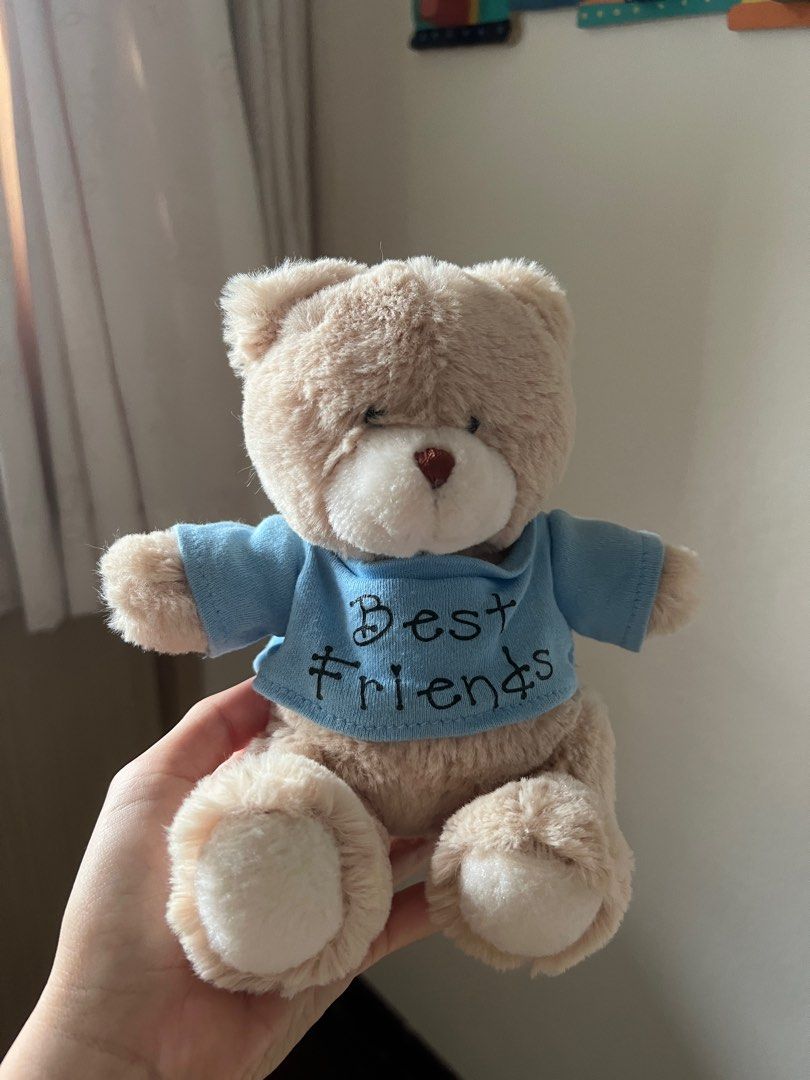 Teddy bear best friends, Hobbies & Toys, Toys & Games on Carousell