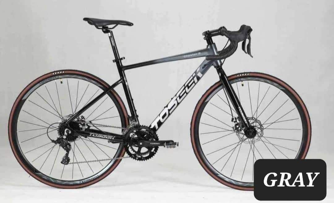 TOSEEK CHESTER 2 ALLOY 2X9 ROADBIKE, Sports Equipment, Bicycles & Parts ...