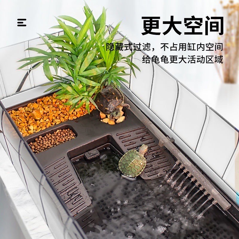 Turtle Home, Pet Supplies, Homes & Other Pet Accessories on Carousell