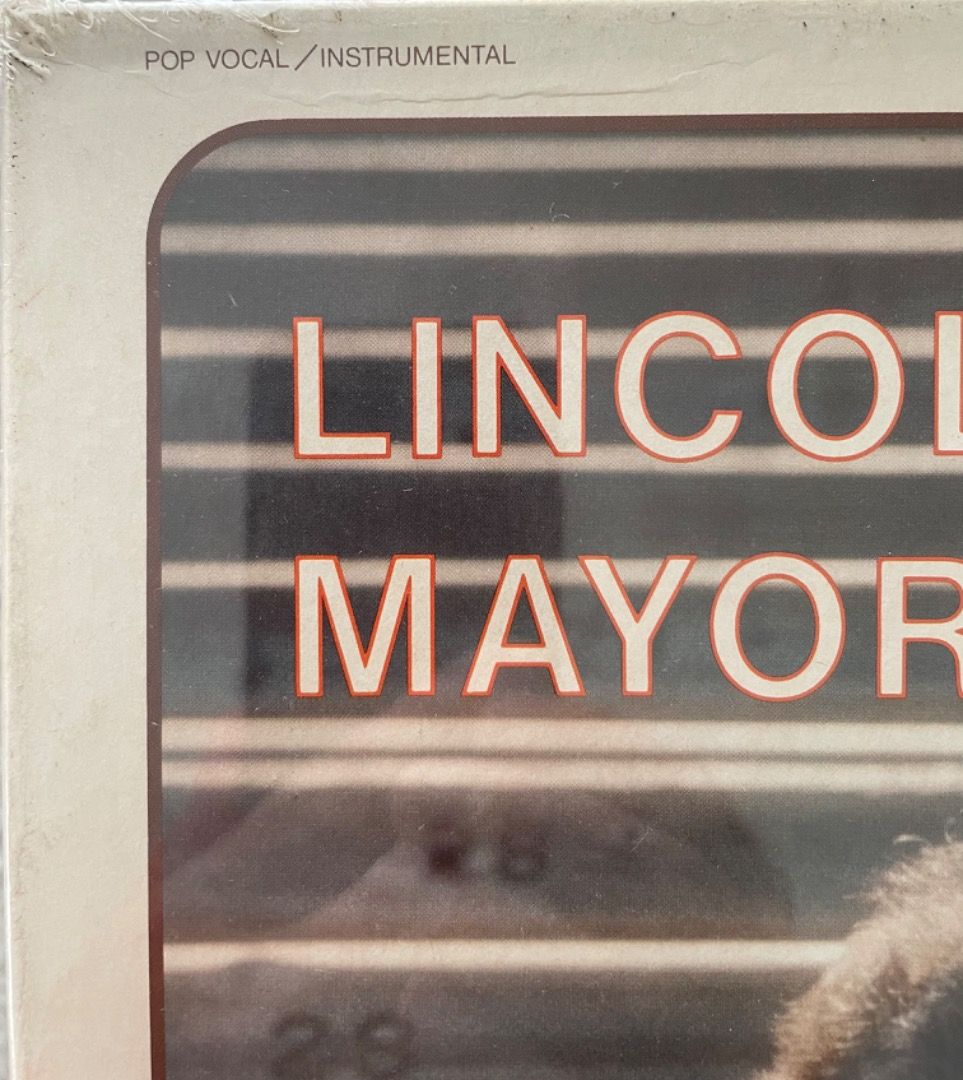 Vinyl / LP: jazz, female vocal, audiophile - Amanda McBroom / Lincoln ...