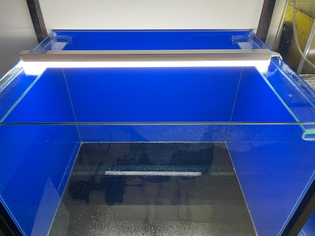 3 tier stand with 3 fish tank (60cm by 45cm by 45cm), Pet Supplies ...