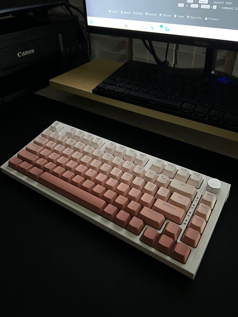 75% custom mechanical keyboard (Peach gradiant shine through keycaps ...
