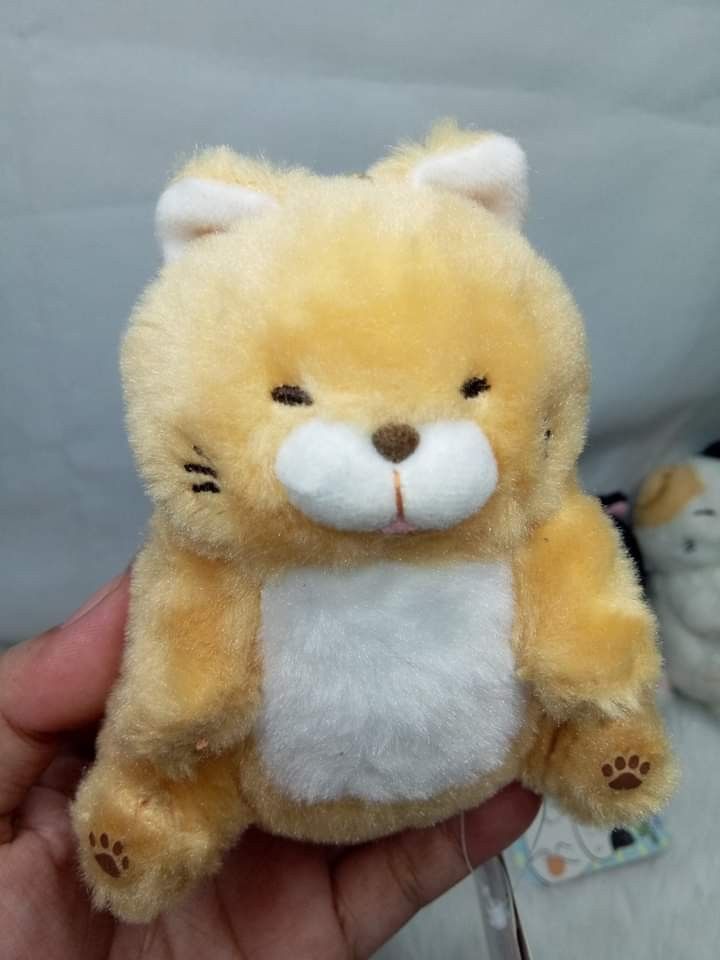 Amuse Nyanko Cat plush on Carousell