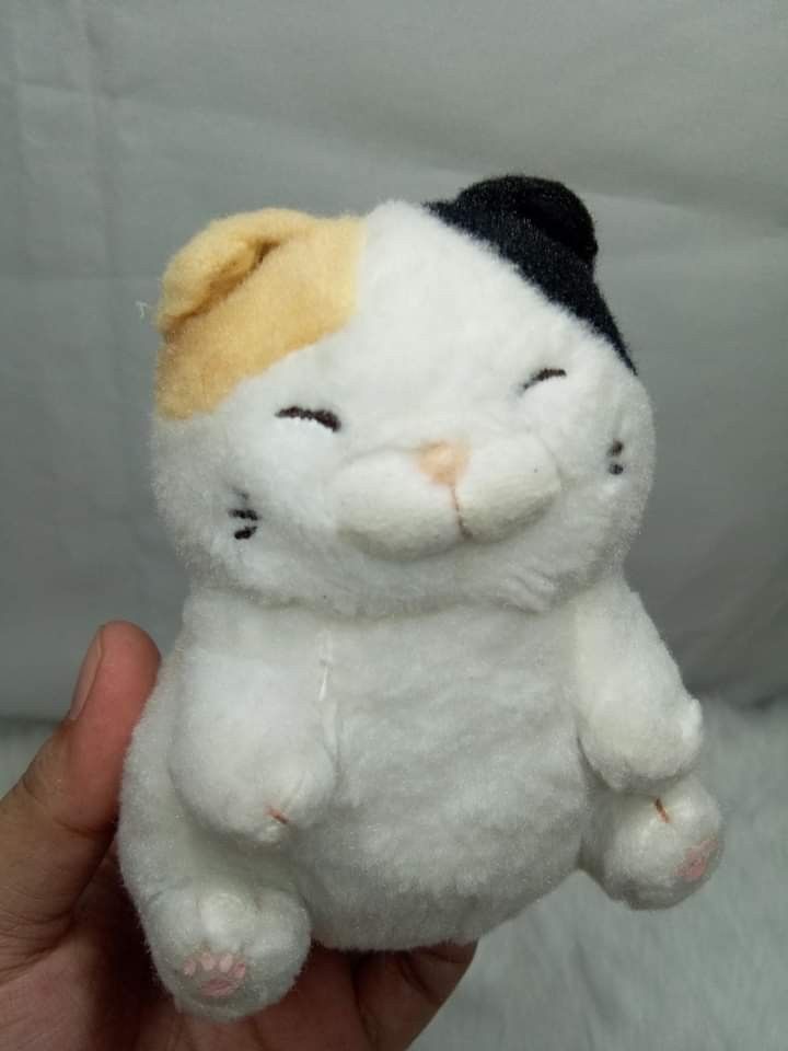 Amuse Nyanko Cat plush on Carousell