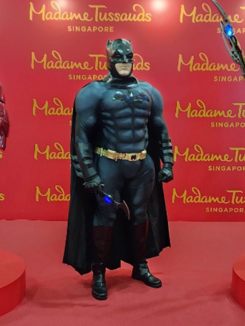 Batman superhero mascot, Hobbies & Toys, Stationery & Craft, Occasions ...