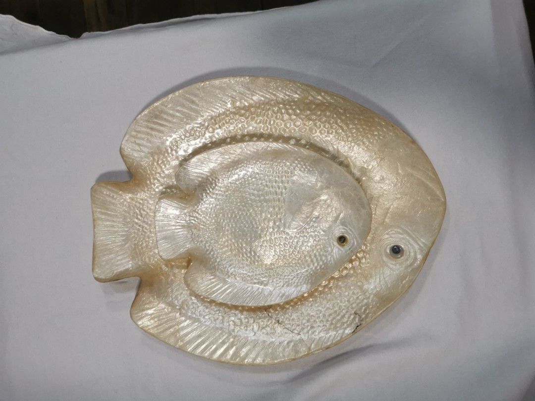 Capis shell, Furniture & Home Living, Home Decor, Vases & Decorative ...