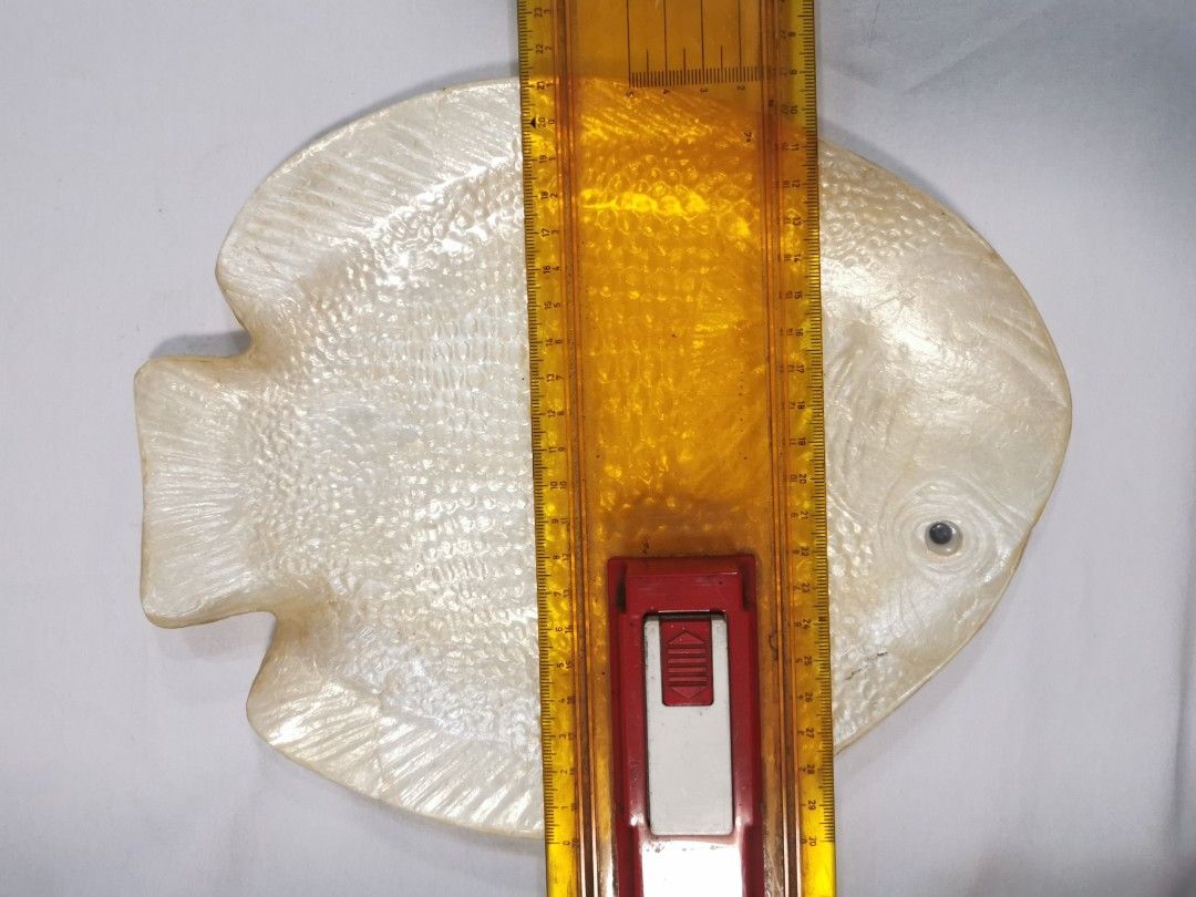 Capis shell, Furniture & Home Living, Home Decor, Vases & Decorative ...