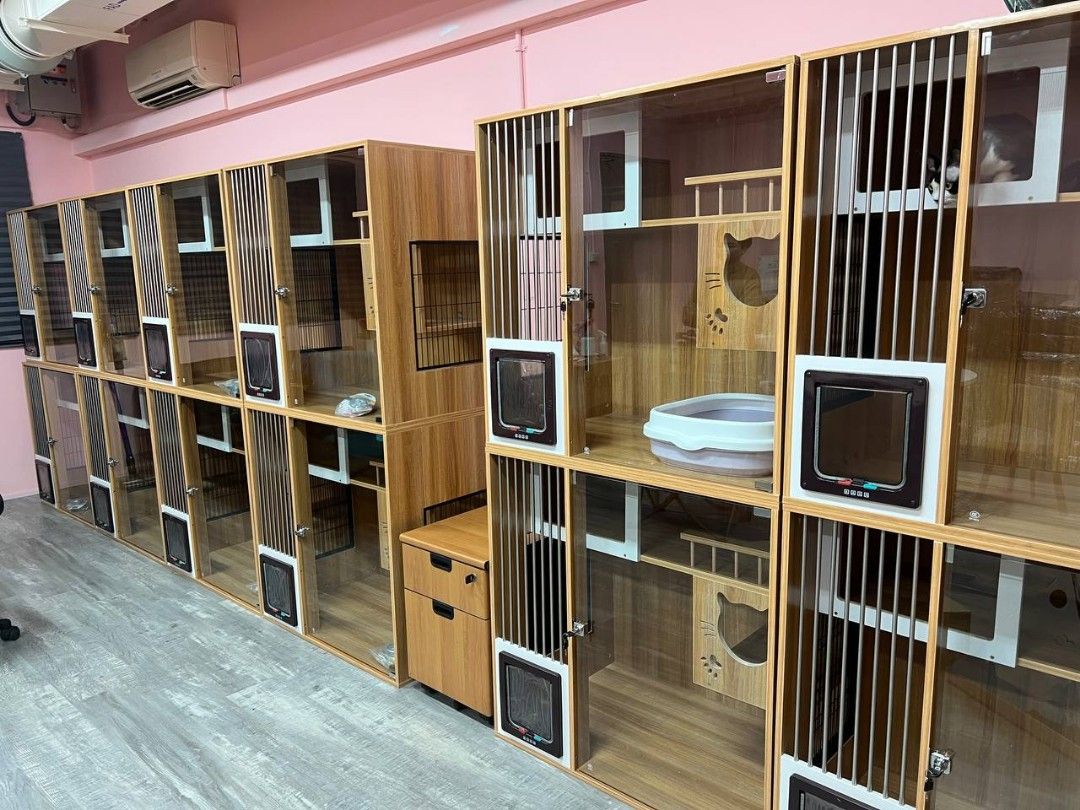 Cat Boarding | Cat Hotel in the East | Affordable !, Pet Supplies ...