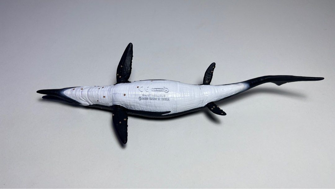 CollectA 2022 Shastasaurus, Hobbies & Toys, Toys & Games on Carousell