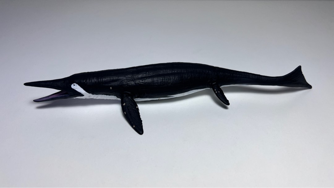 CollectA 2022 Shastasaurus, Hobbies & Toys, Toys & Games on Carousell