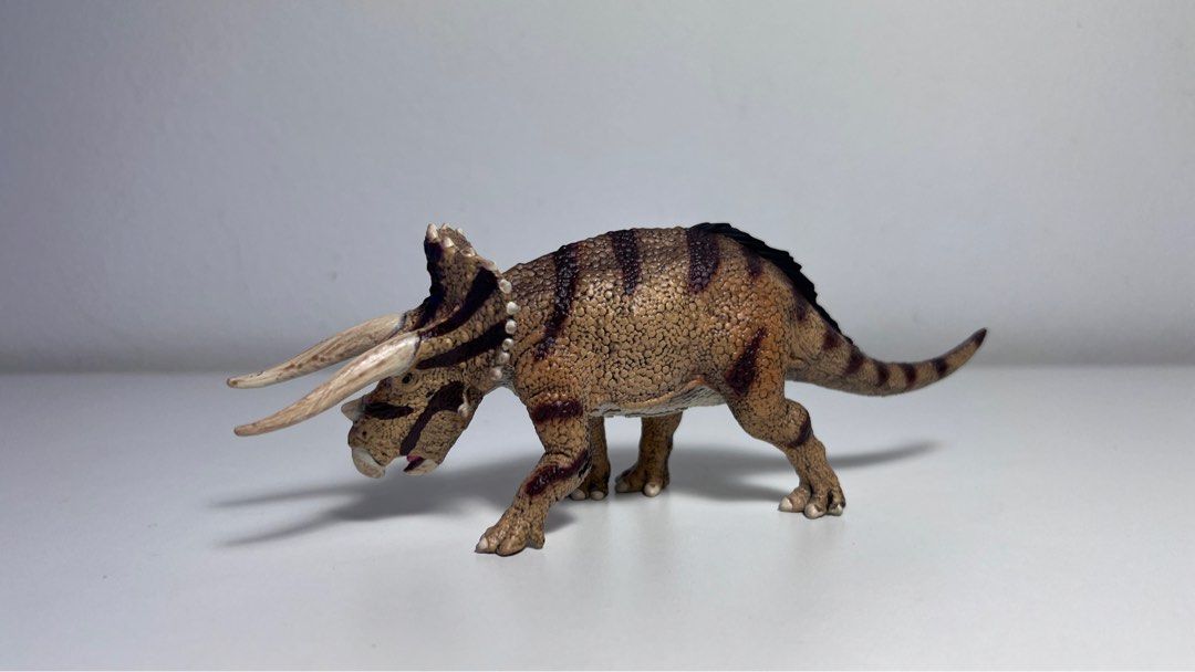 CollectA 2022 Triceratops Horridus, Hobbies & Toys, Toys & Games on ...
