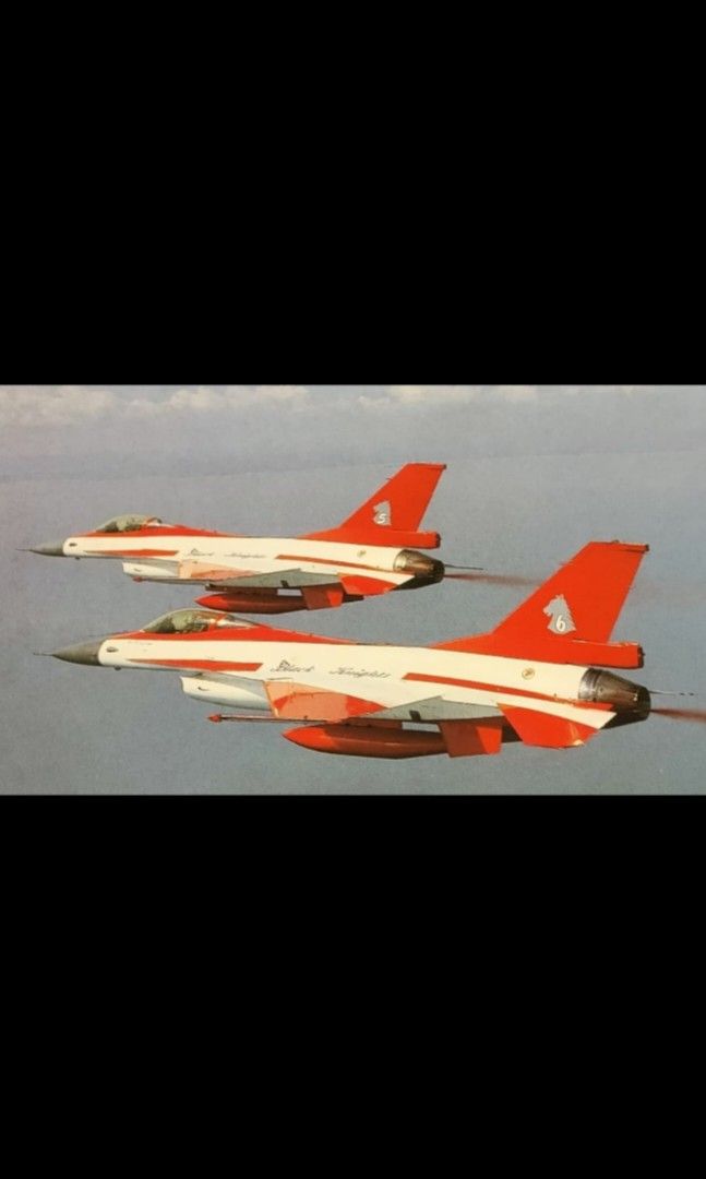 F-16 Black Knights RSAF 1/48 Scale, Hobbies & Toys, Memorabilia ...