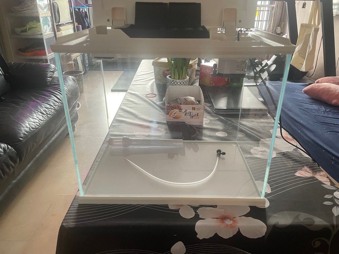 Fish tank Yee all in one, Pet Supplies, Homes & Other Pet Accessories ...