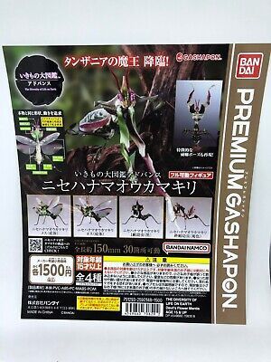 Gashapon Premium Bandai - Devil's Flower Mantis, Hobbies & Toys, Toys ...