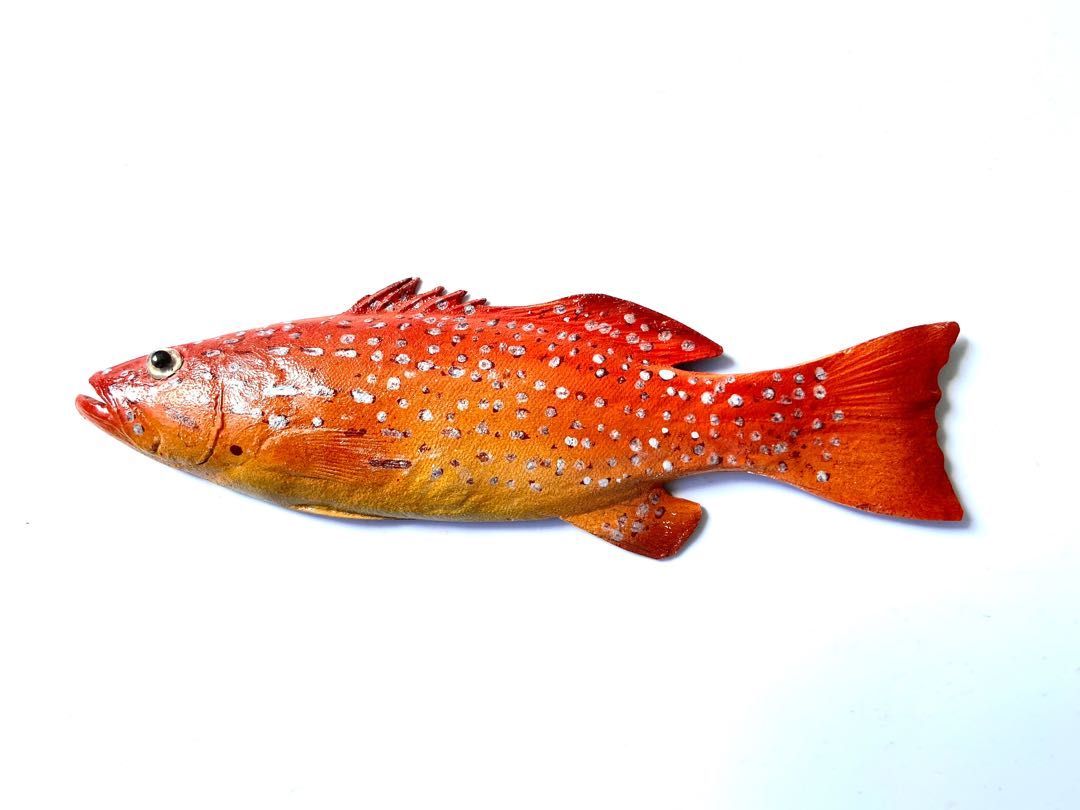 Half-sided fibreglass fish replica: Grouper- Wall Decor No. GR 1026-0 ...
