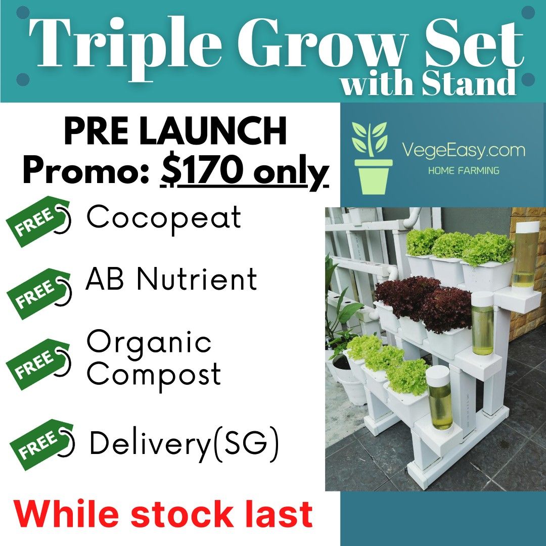 Hybrid Hydrophonic Triple grow set, Furniture & Home Living, Gardening ...
