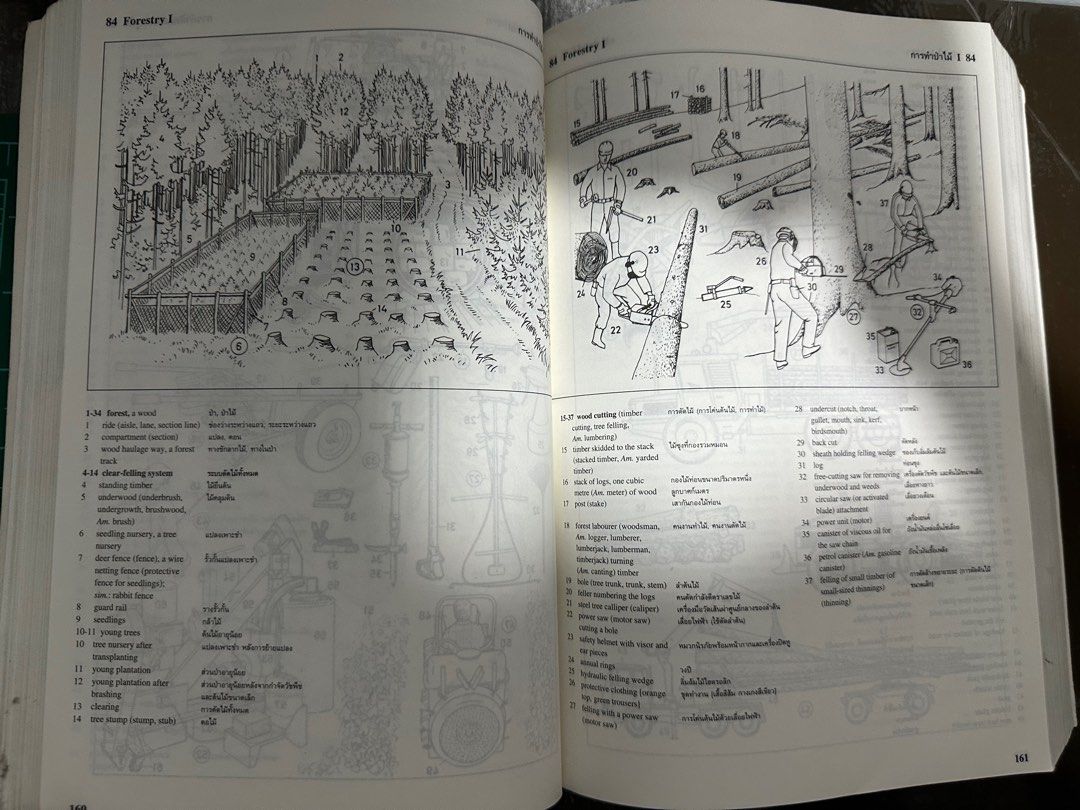 The Oxford- Duden Pictorial Thai & English Dictionary, Hobbies & Toys ...
