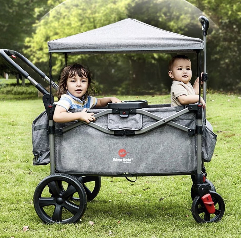 Westfield Stroller Wagon Double Seater Outdoor Camping, Babies & Kids ...