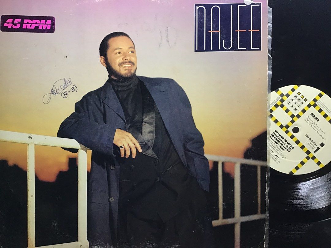 12 INCH Najee - Music From Day By Day OOP 12” VINYL RECORD Anubis ...