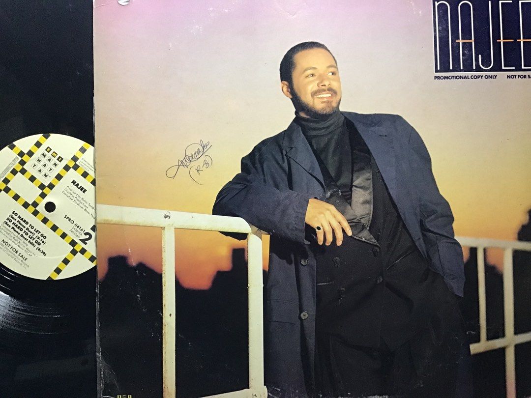 12 INCH Najee - Music From Day By Day OOP 12” VINYL RECORD Anubis ...