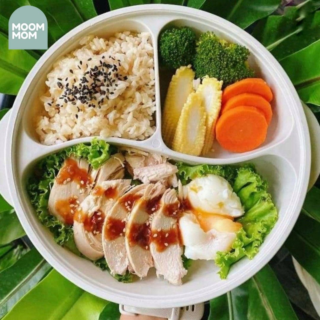 3 Compartment Lunch Box with Lid, Spoon and Fork Balanced Diet Meal ...