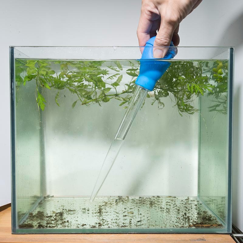 Aquarium Siphon Pipette to remove gravel waste, Pet Supplies, Homes ...