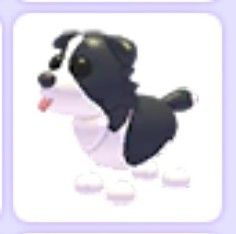 BORDER COLLIE ADOPT ME, Video Gaming, Gaming Accessories, In-Game ...