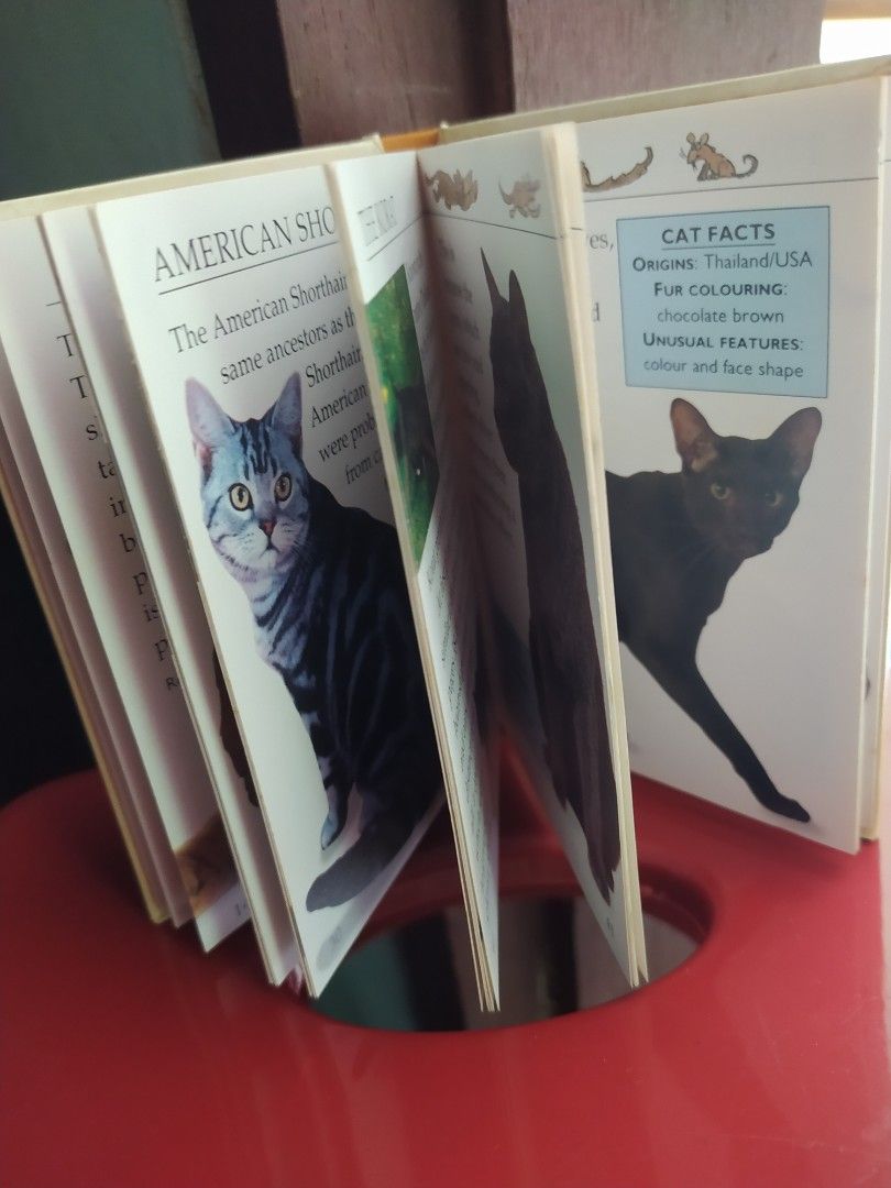 Buku anak Cats by Collins, Buku & Alat Tulis, Buku Anak-Anak di Carousell