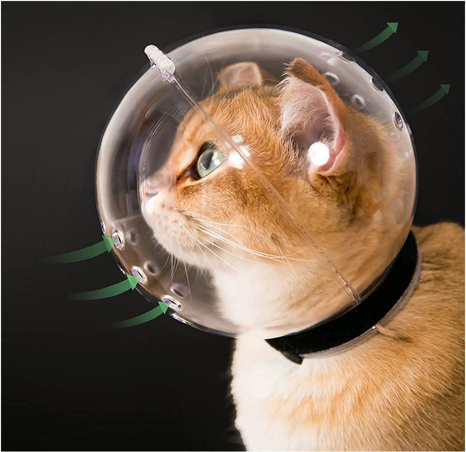 Cat Muzzle Cat Transparent Muzzle Breathable Cat Hood Adjustable Kitten ...