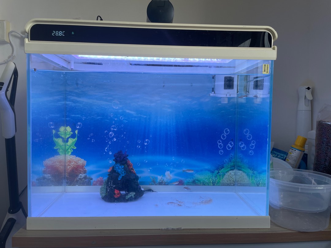 Fish tank 60 * 48* 34cm with light and temperature display, Pet ...