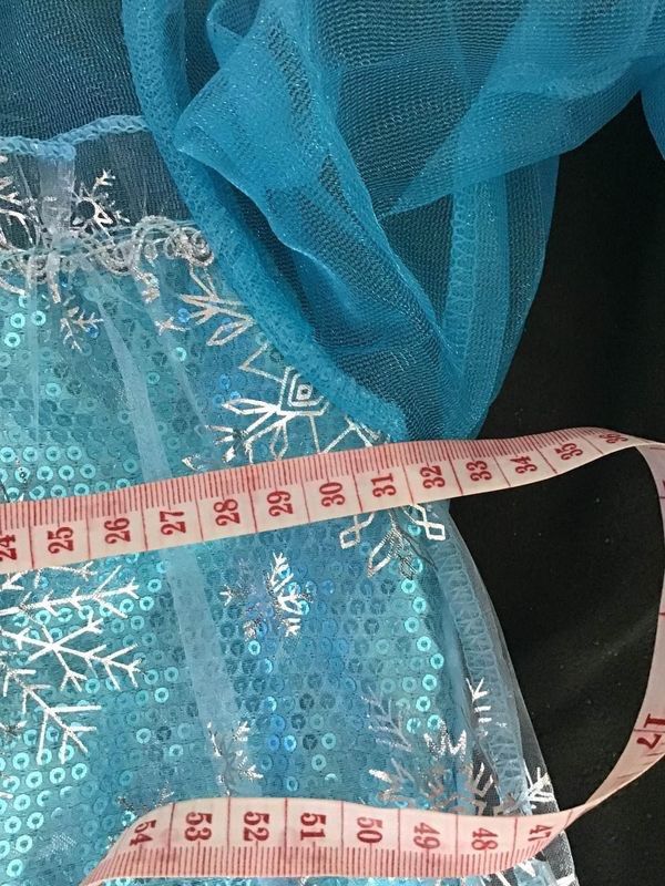 Frozen Queen Princess Elsa Costume for Girls Kids - Brand New on Carousell