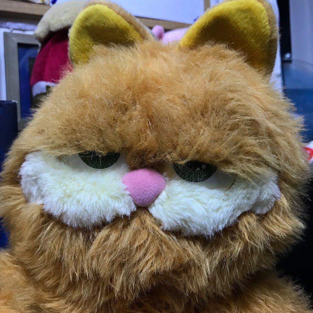 GARFIELD catching Rat Stuffed Toy on Carousell