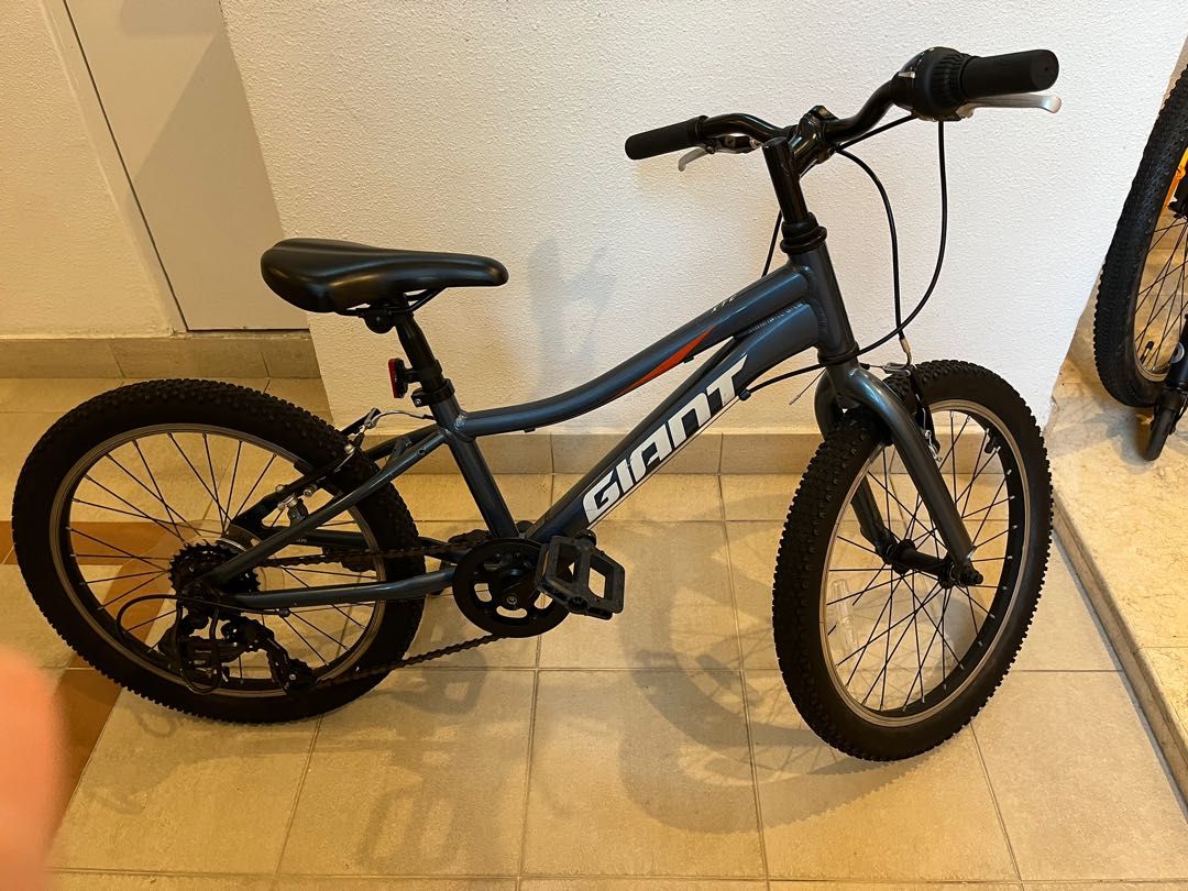 Giant XTC bike 20 inches, Sports Equipment, Bicycles & Parts, Bicycles ...