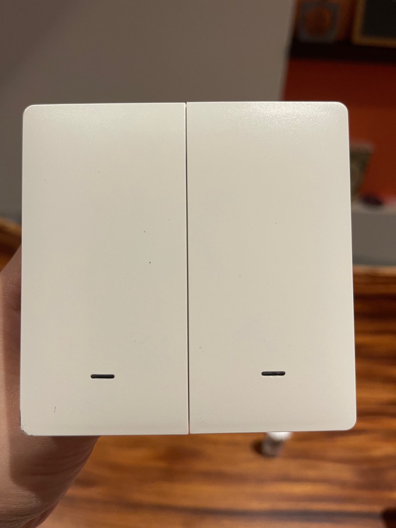 Moes Tuya 2-gang switch (no neutral), Furniture & Home Living, Lighting ...