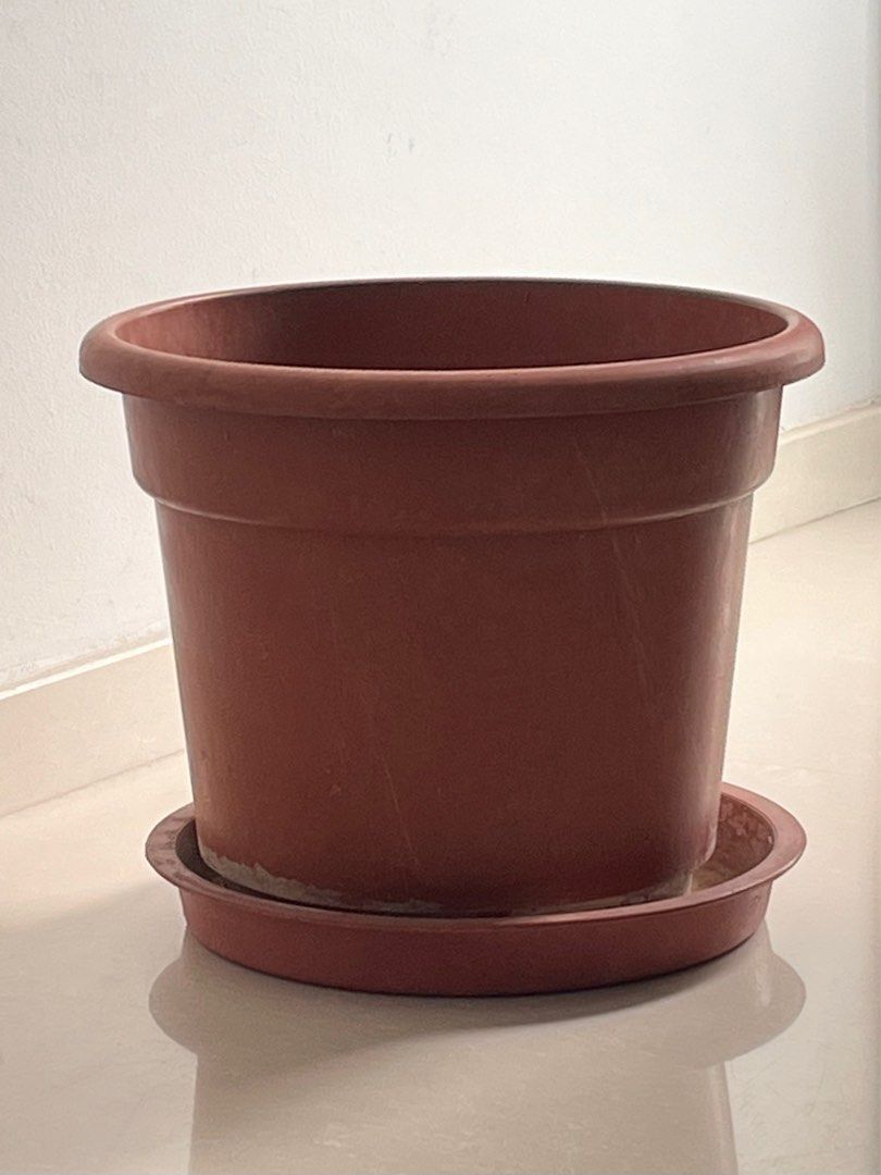 planting pot with soil, Furniture & Home Living, Gardening, Pots ...
