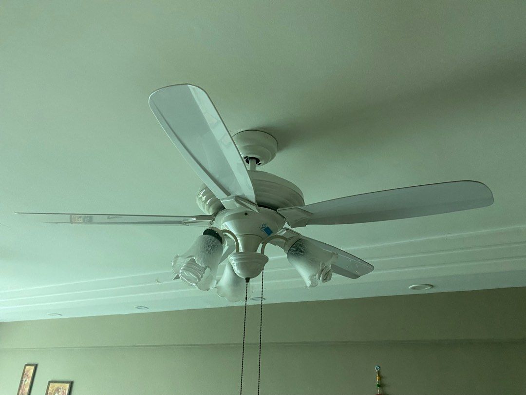 Rarely used Working Fans, Furniture & Home Living, Lighting & Fans ...
