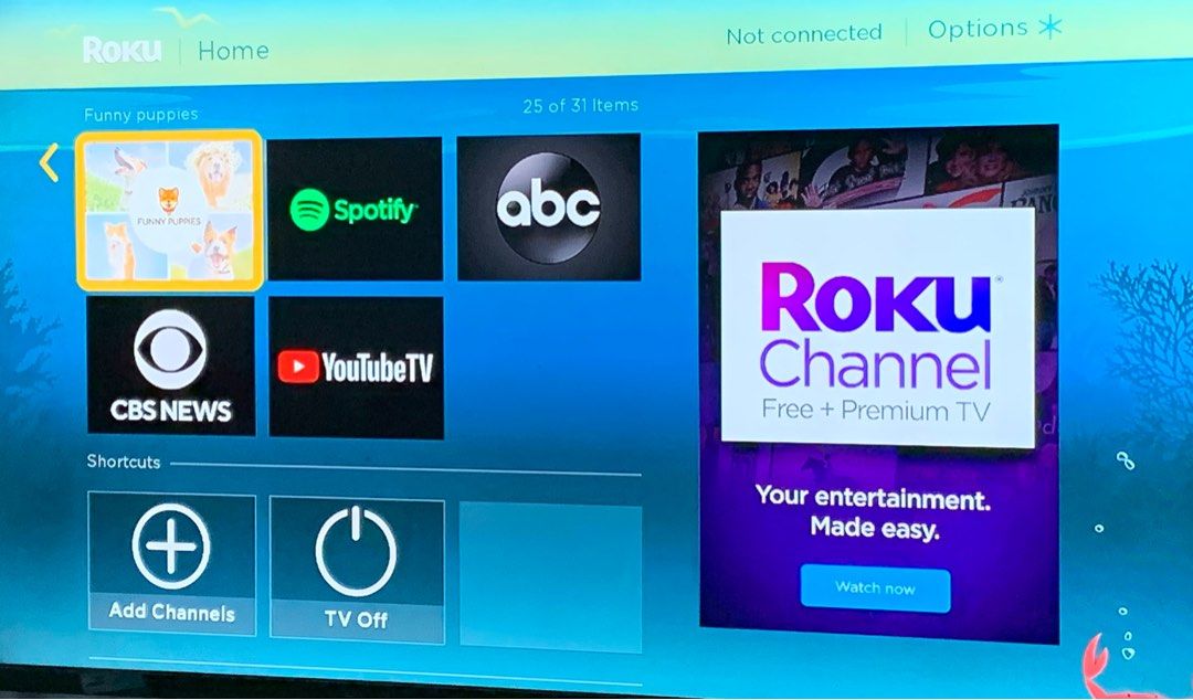 Roku Express - TV Media Streaming Device, TV & Home Appliances, TV & Entertainment, Media ...